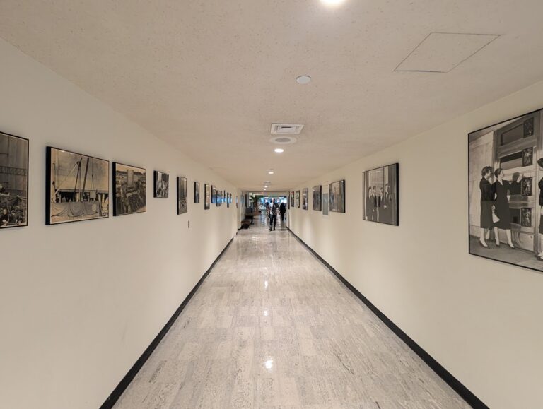 IDIO JAPAN ASSOCIATION